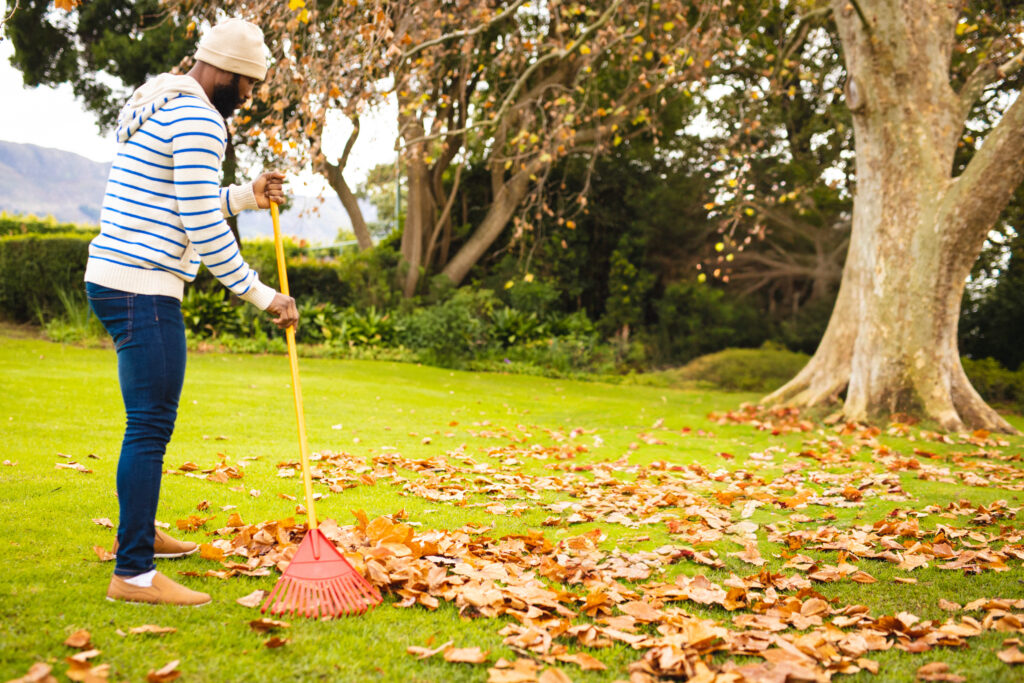 Essential Yard Clean-Up Tools That Protect Home Systems | Armadillo