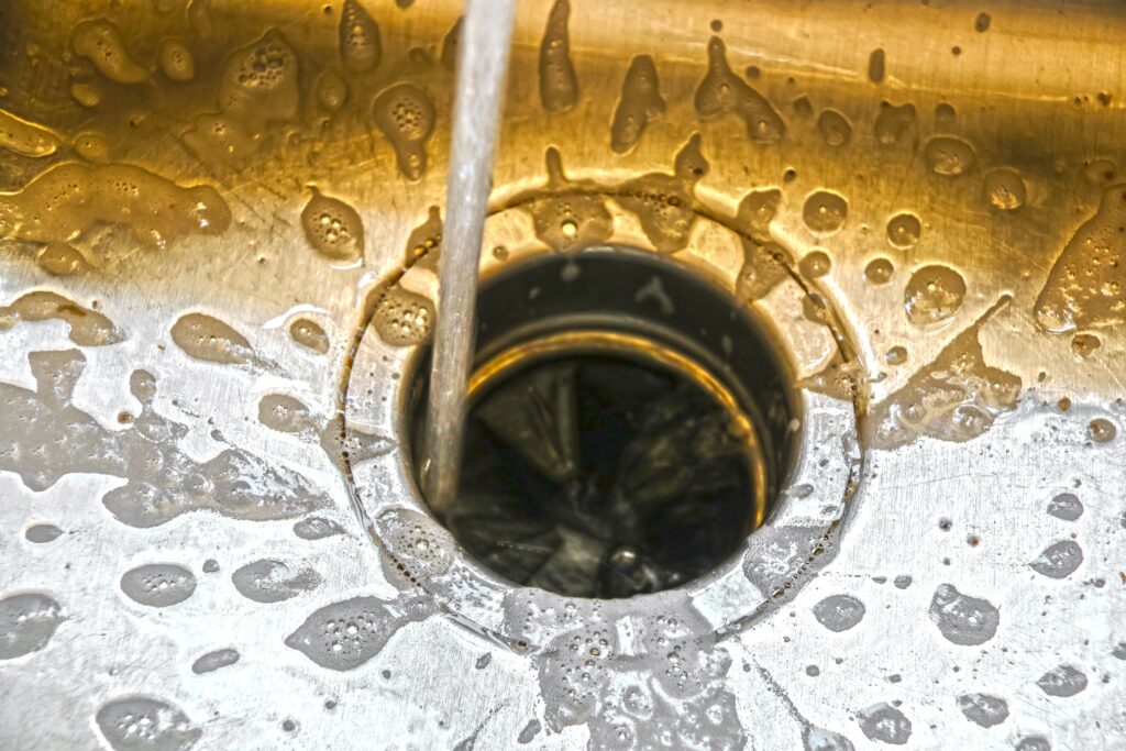 What You Can and Can’t Put in a Garbage Disposal Safely | Armadillo
